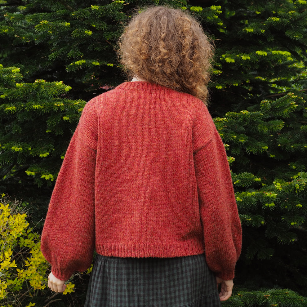 Blue Dasher Dragonfly Jumper – Lillian Greenough Knitwear